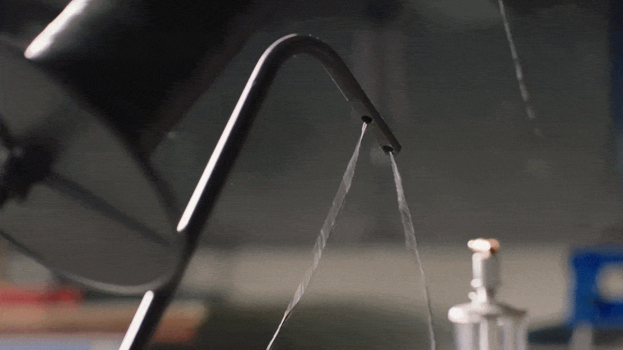 Art Direction - Mariah Colón